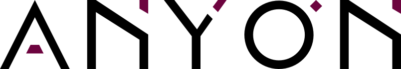 Anyon Systems | Quantum Computing